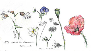 課程資訊 | iLearning 3.0