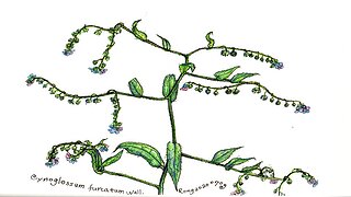 課程資訊 | iLearning 3.0