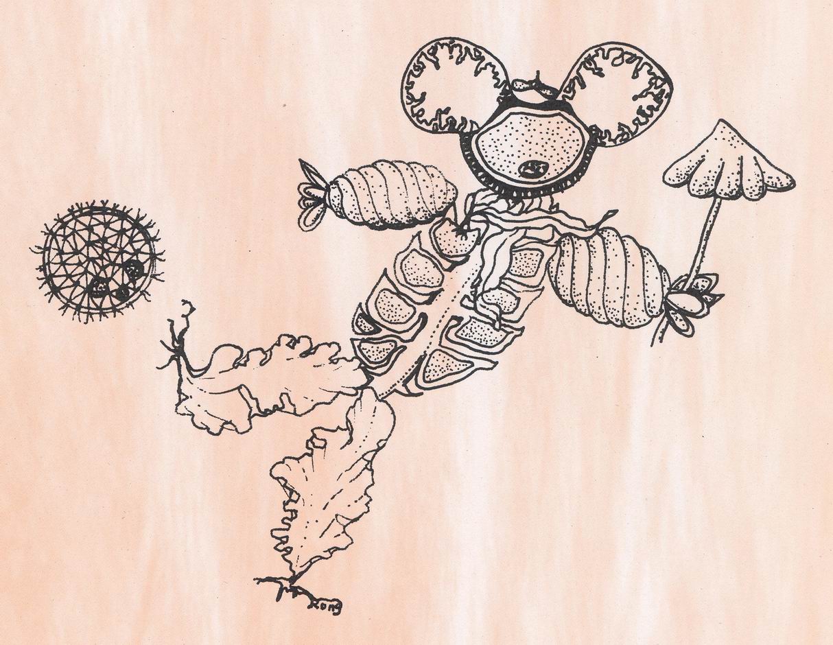 課程資訊 | iLearning 3.0