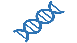 課程資訊 | iLearning 3.0